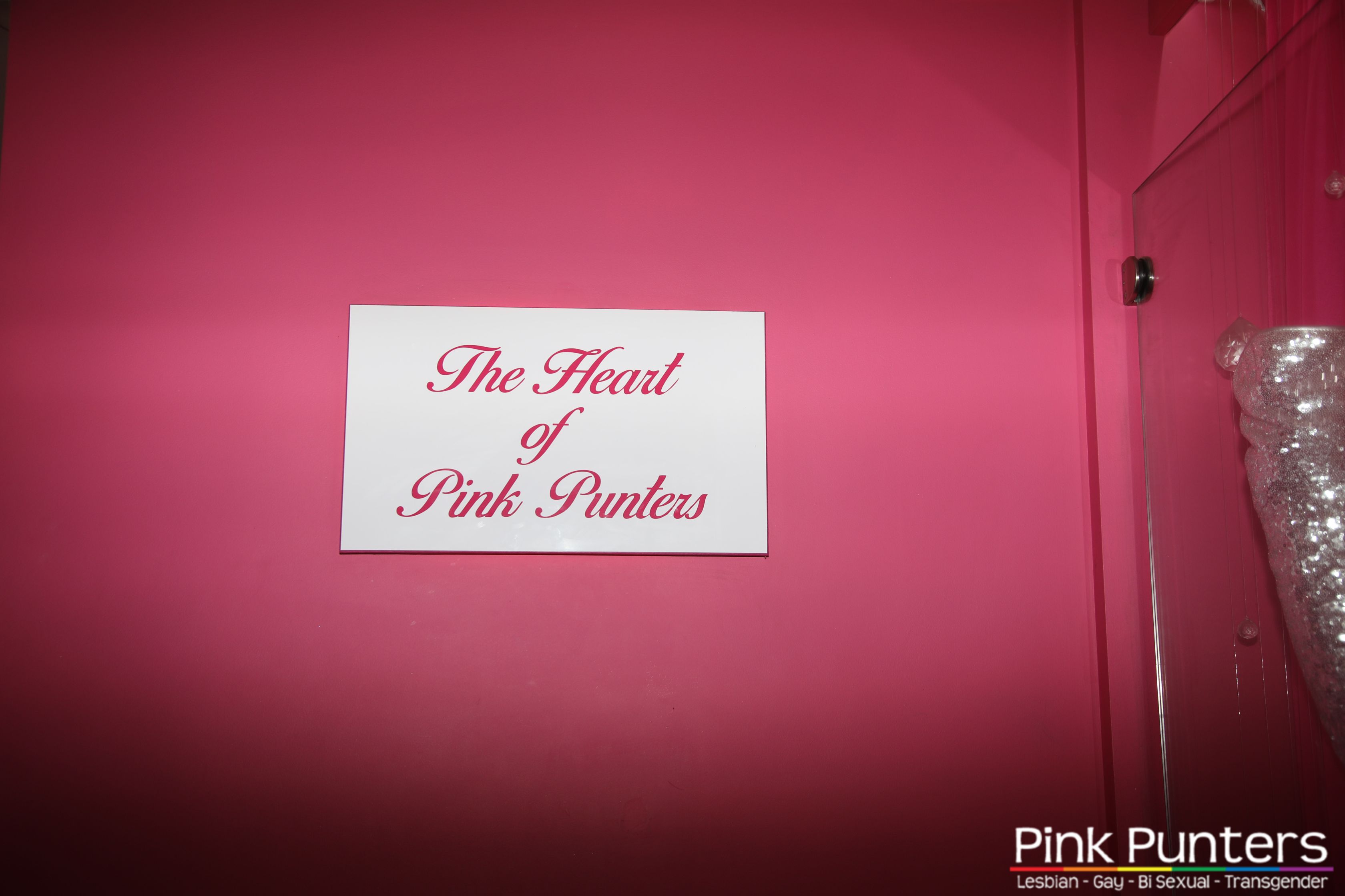 Photo & Video Gallery | Pink Punters